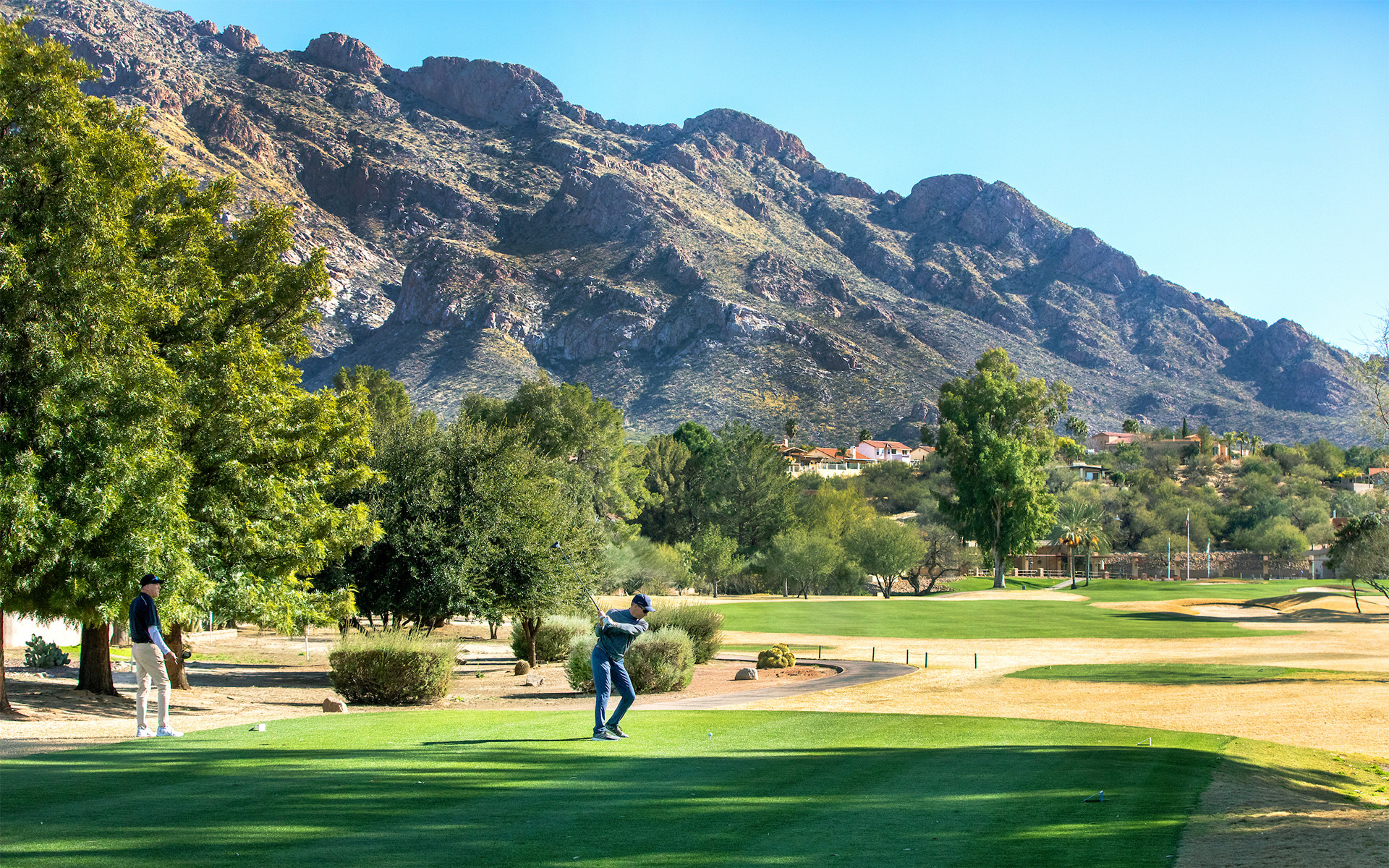 Golf & Country Club in Oro Valley, AZ | Oro Valley Country Club